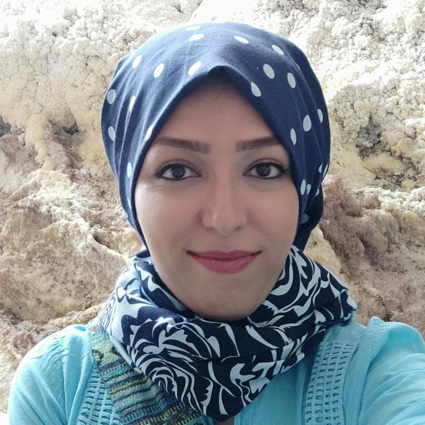 Dr. Samaneh Niazkhani - SMUS